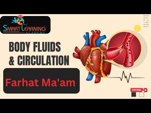 11 Bio Body Fluids & Circulation: Structure of Human Heart - YouTube