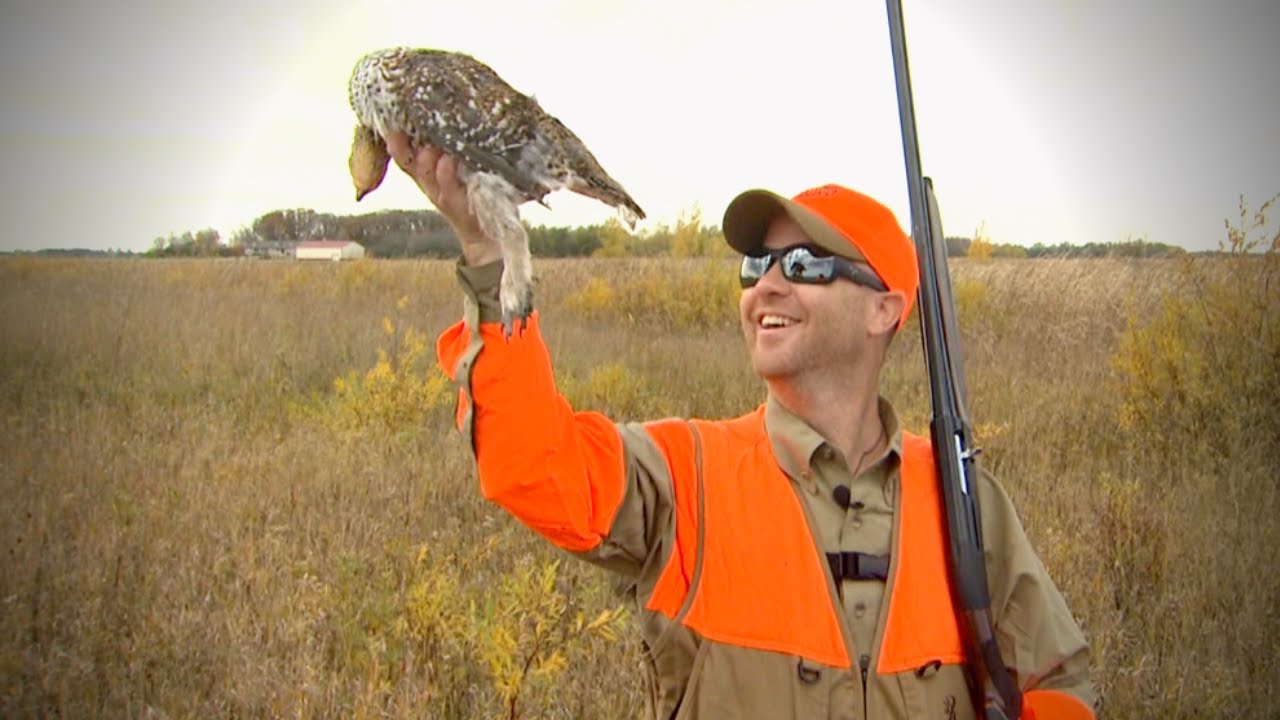 Hunting Minnesota's Sharp Tailed Grouse (Classic 2015) - YouTube