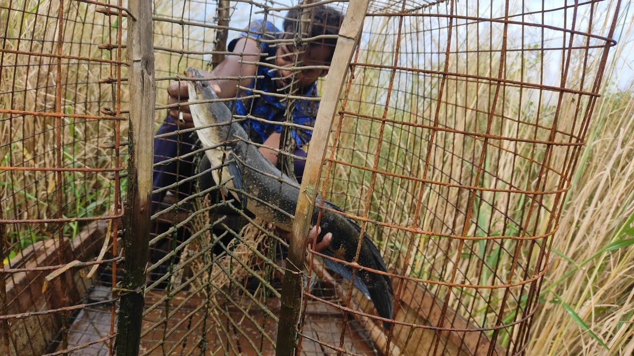 amazing fishing video //pinjre se marad bacche kaise pakde//big fish in ...