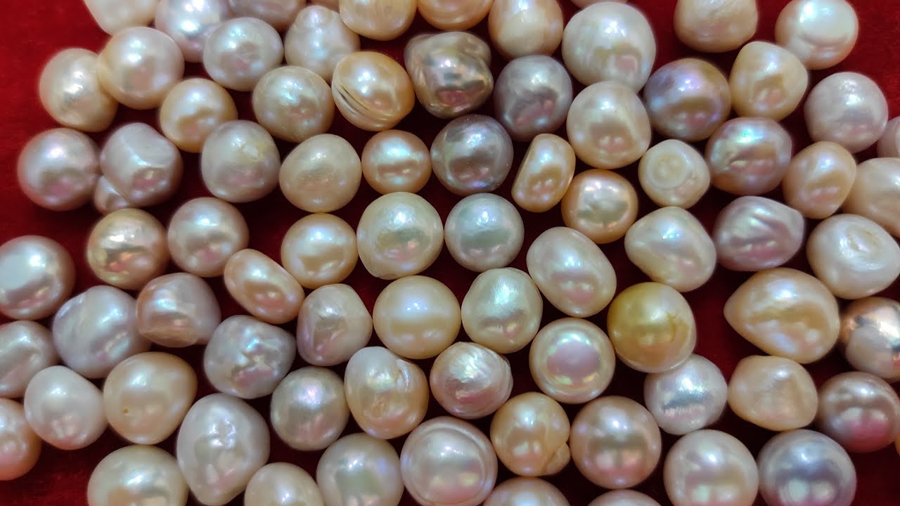 মুক্তা পাথরের অলৌকিক উপকারিতা,Benefits of Pearl Stone,Moti,Mukta ...
