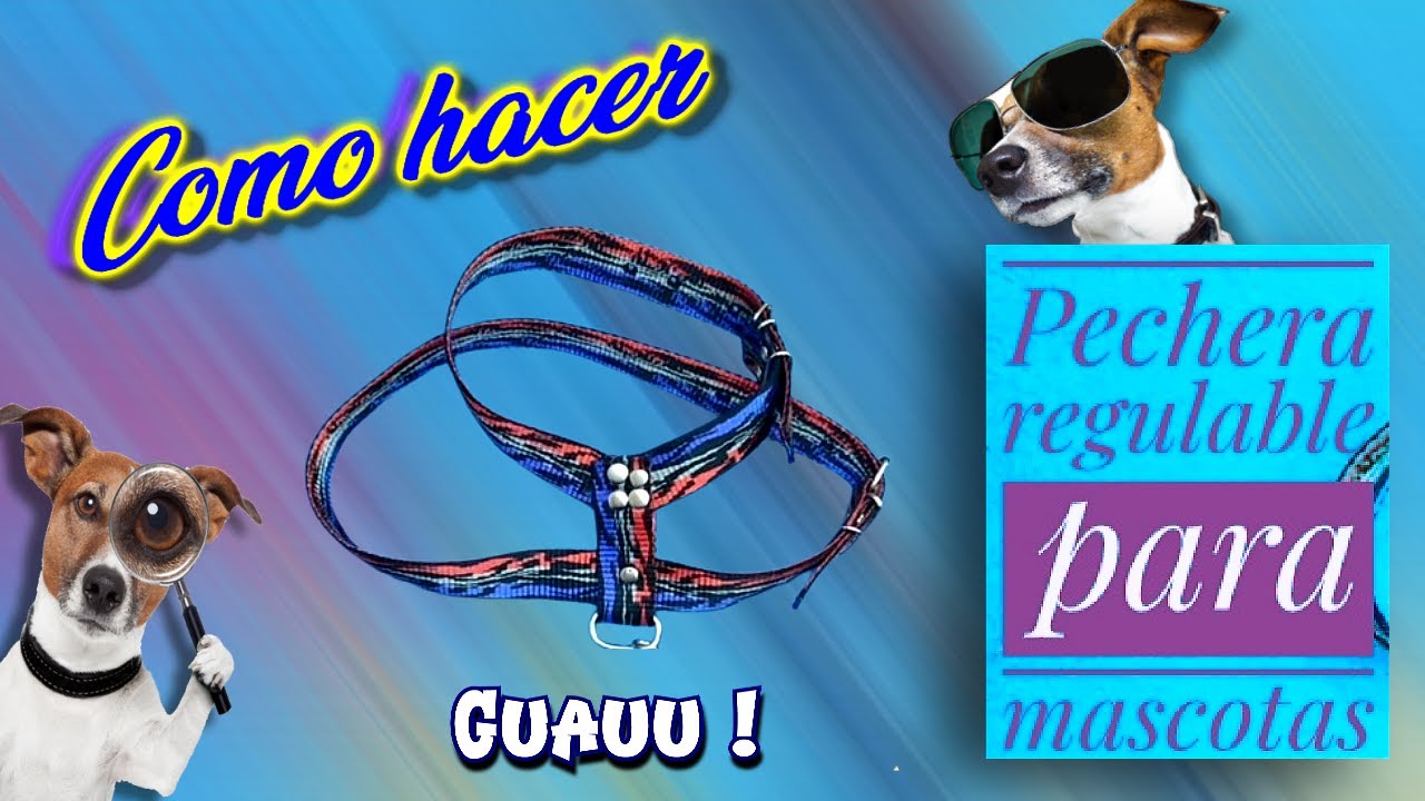 Como hacer una pechera regulable con hebilla para tu mascota - YouTube