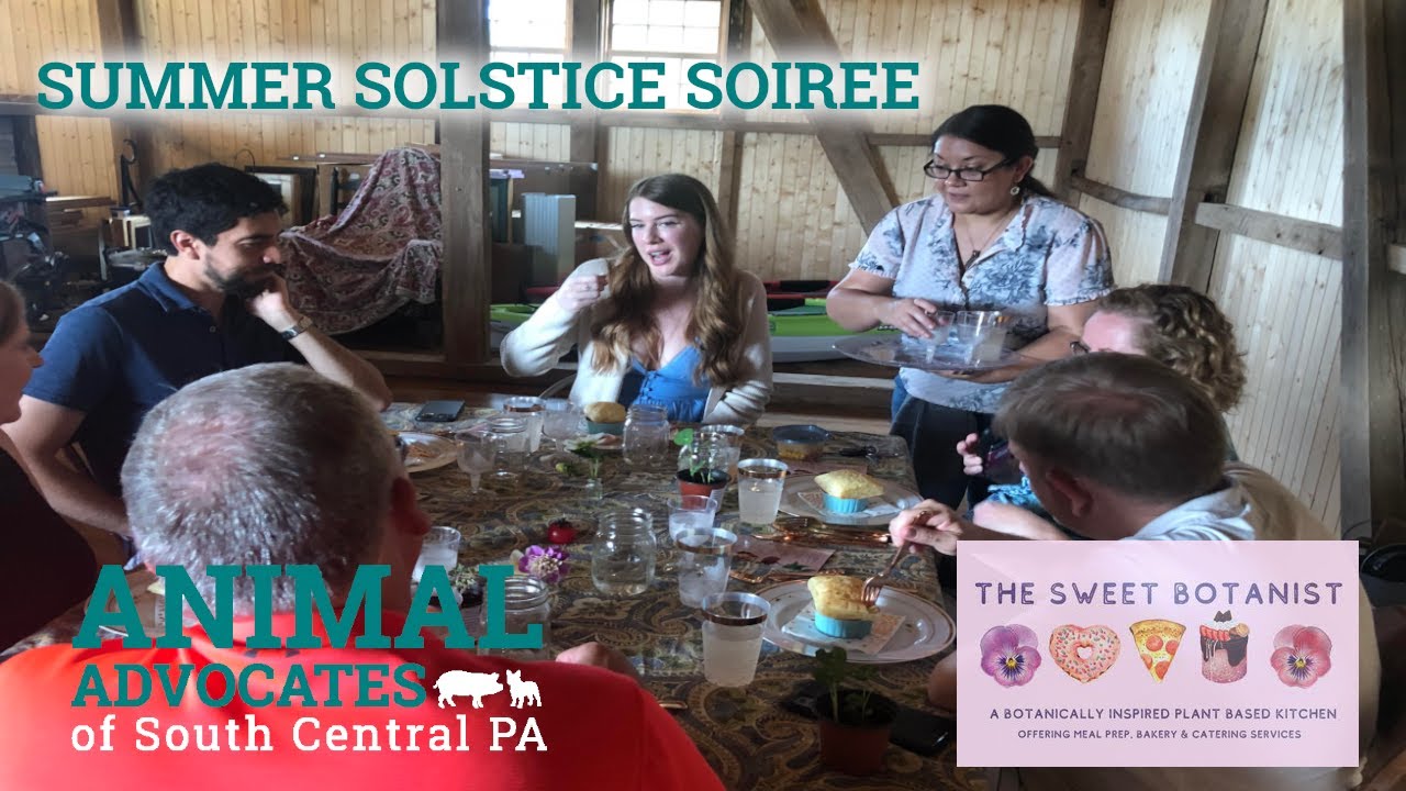 Summer Solstice Soiree - YouTube