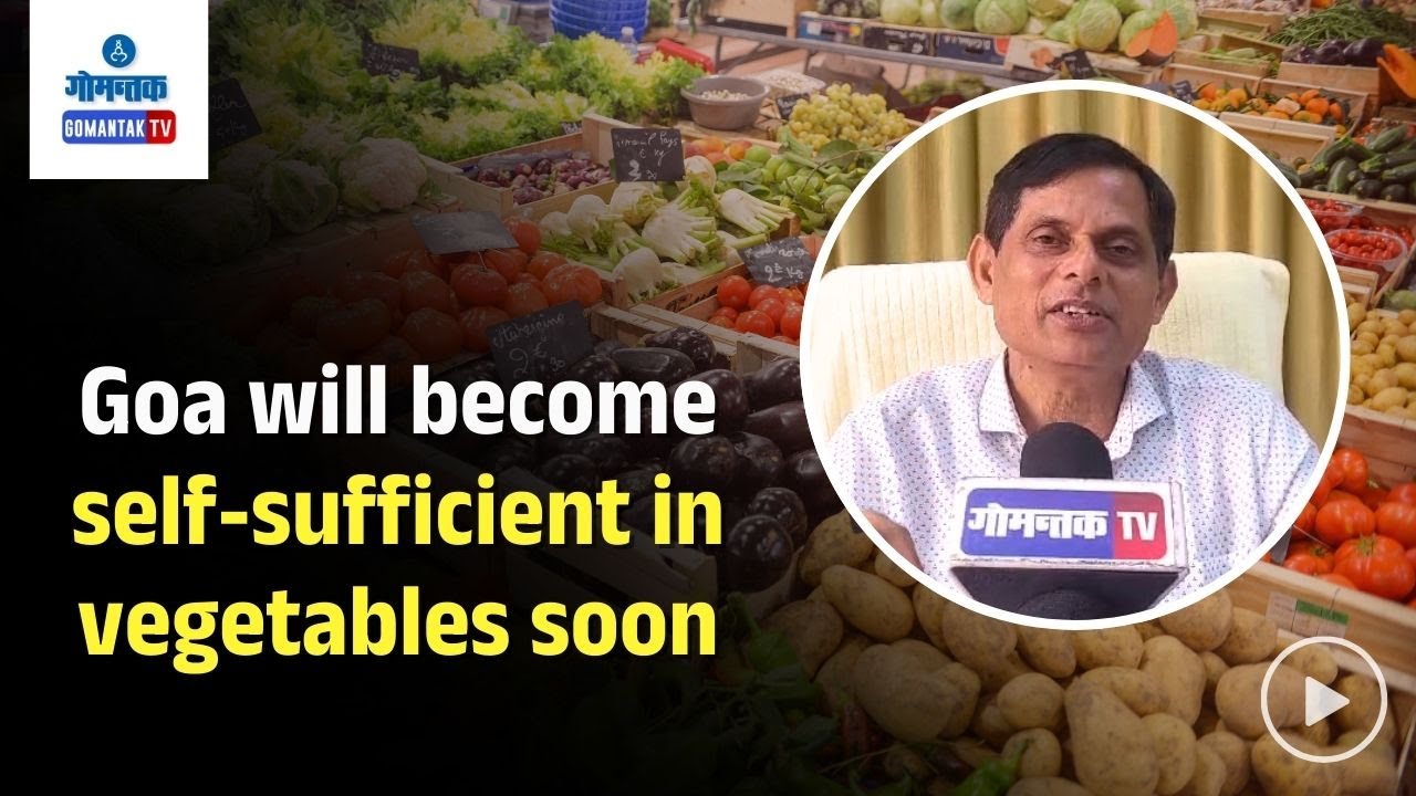 Goa Horticulture : भाजीपाल्याच्या उत्पादनात लवकरच गोवा स्वयंपूर्ण होईल ...