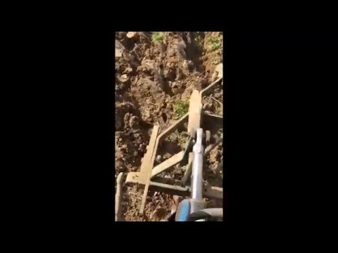 case jx65c tarla sürme - tarla hazırlama sezonu - çift sürme