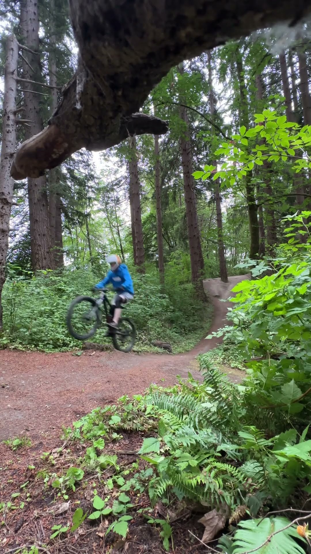 Stump jump 🌲 - YouTube