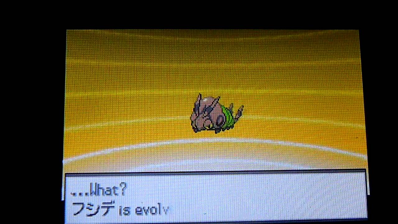 Evolution of my shiny Venipede into Whirlipede - YouTube