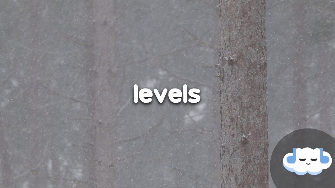 Avicii - Levels (Lyrics) | 'oh sometimes i get a good feeling' - YouTube