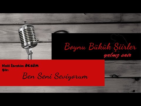 Ben Seni Seviyorum