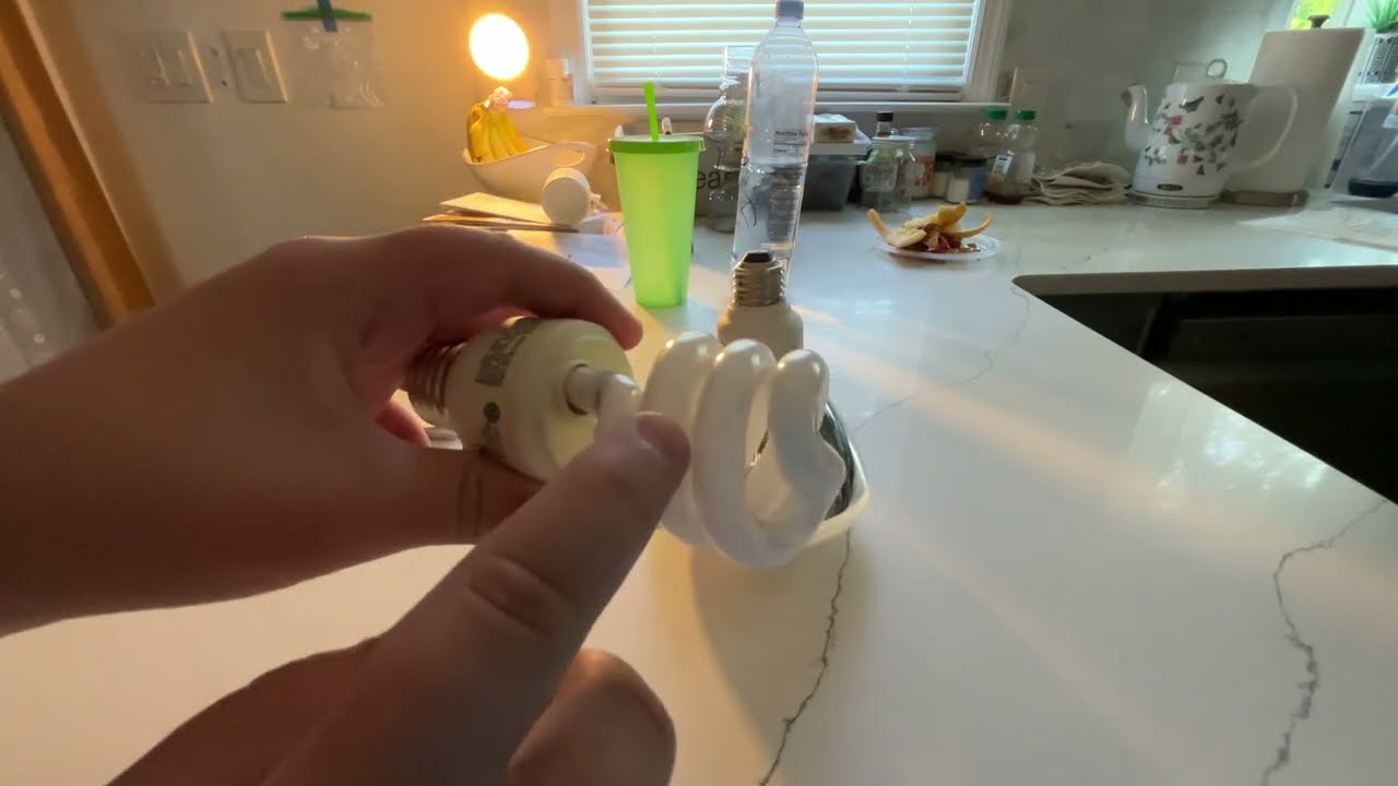 Squiggly, fluorescent lightbulb, weird designs three lightbulbs - YouTube