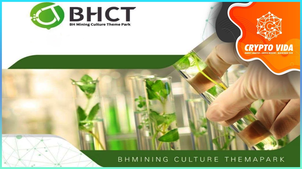 BH GLOBAL BHCT y BHD COIN (LBANK, BKEX y LATOKEN) - YouTube