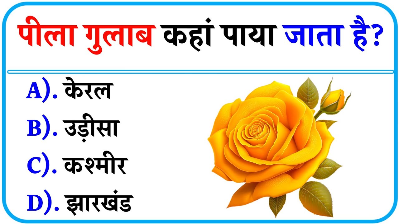पीला गुलाब कहां पाया जाता है | Pila Gulab Kahan Paya Jata Hai | General ...