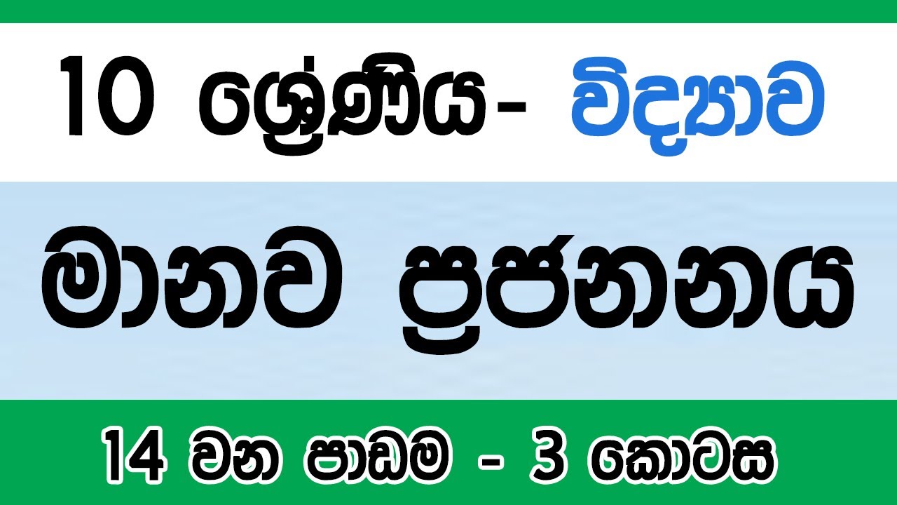 Grade 10 Science | Lesson 14 ( මානව ප්‍රජනන පද්ධතිය ) | Part Three # ...