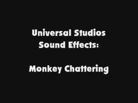 Universal Studios SFX Monkey Chattering - YouTube