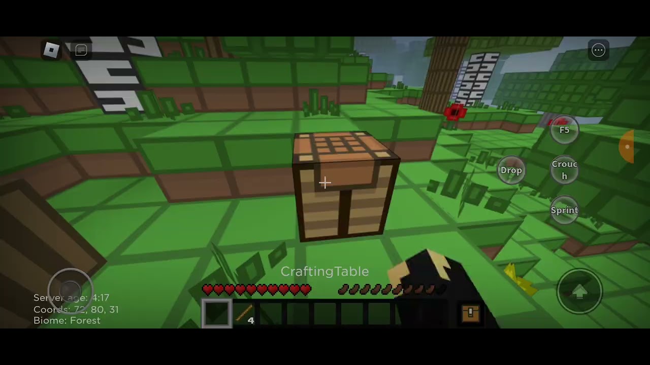 minecraft dentro do roblox - YouTube