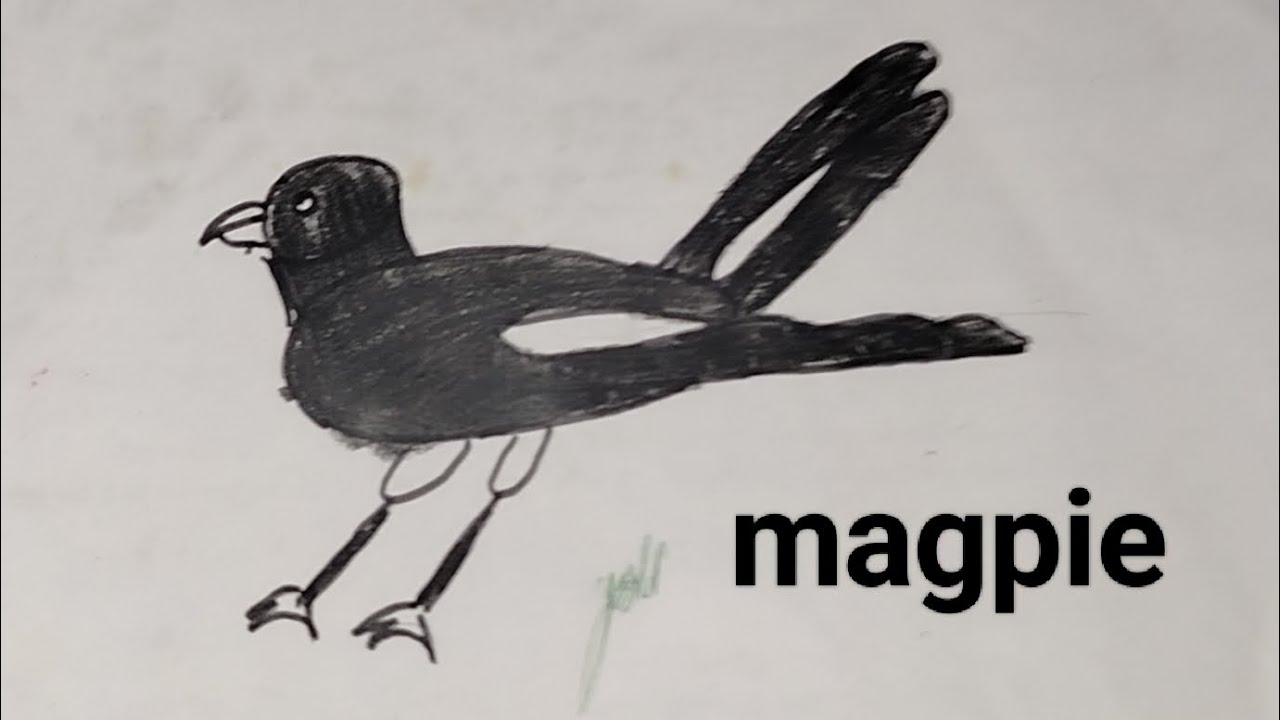 How to draw a magpie.||magpie drawing||very easy||art water - YouTube