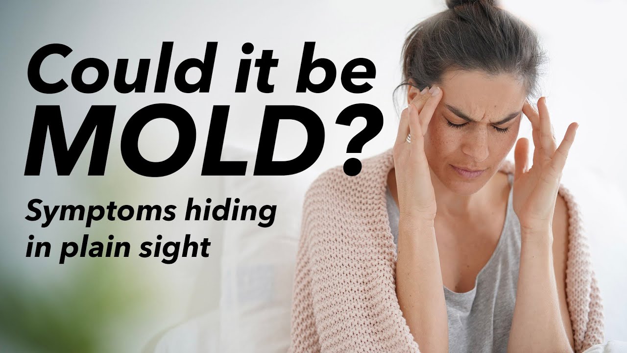 Mold Toxicity: The Hidden Health Problem Affecting Millions | Symptoms ...