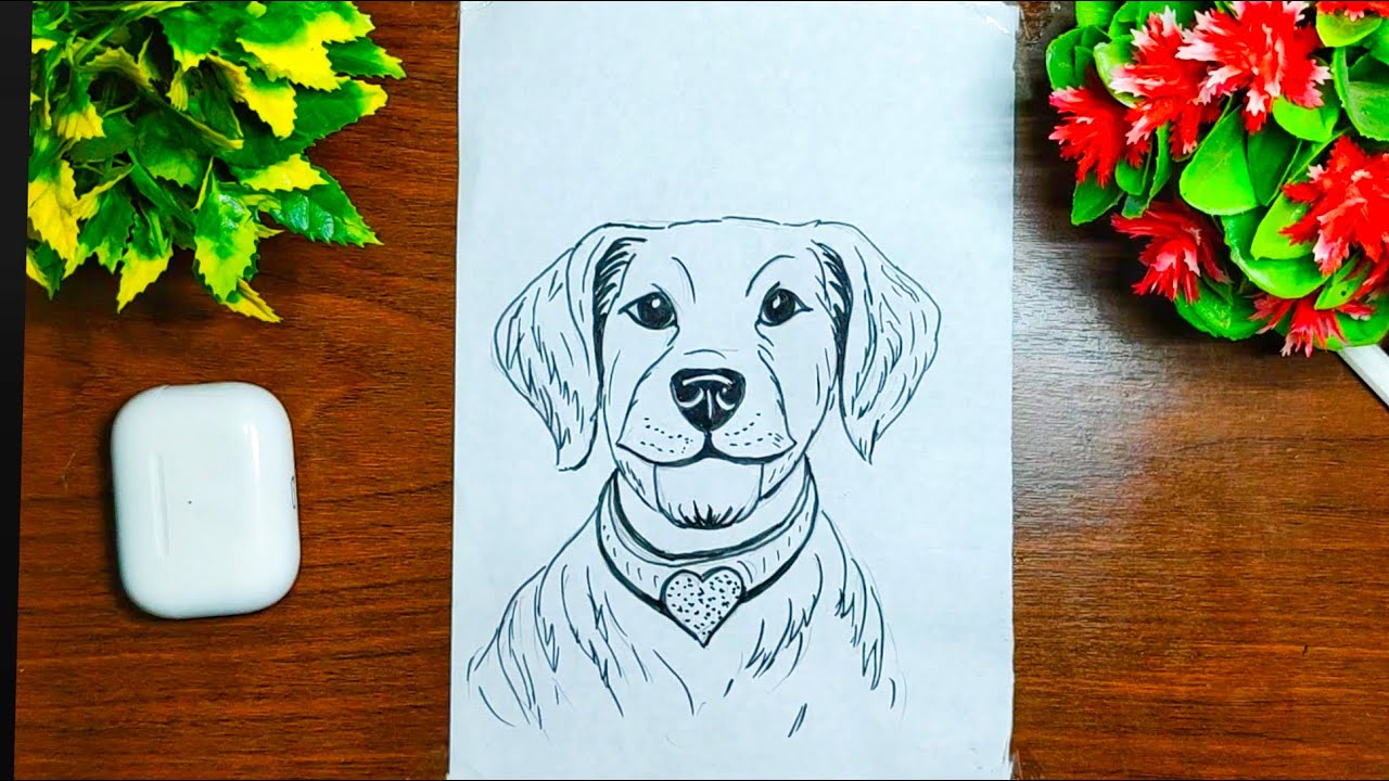 How to draw a dog , easy drawing, dog drawing, easy dog drawing, # ...