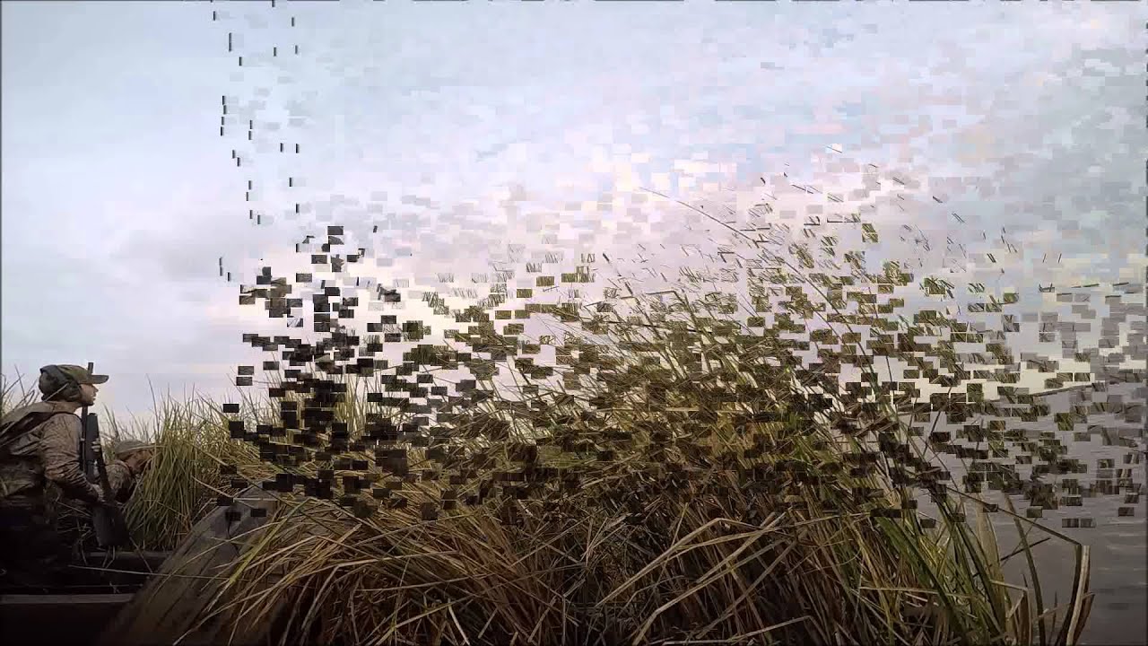 South LA Marsh Duck Hunting - YouTube