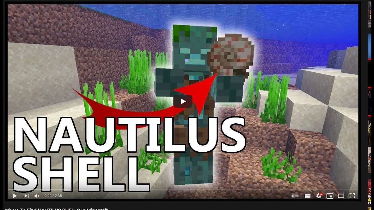 How To Get INFINITE Nautilus Shells In Minecraft 1.16.5 (BROKEN) ((NOT ...
