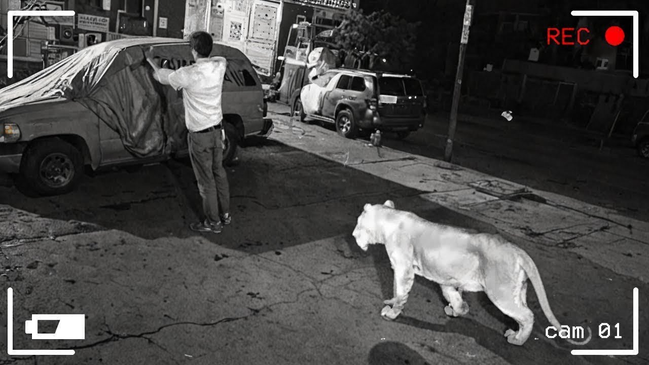 30 Amazing Moments Captured By CCTV Cameras - YouTube