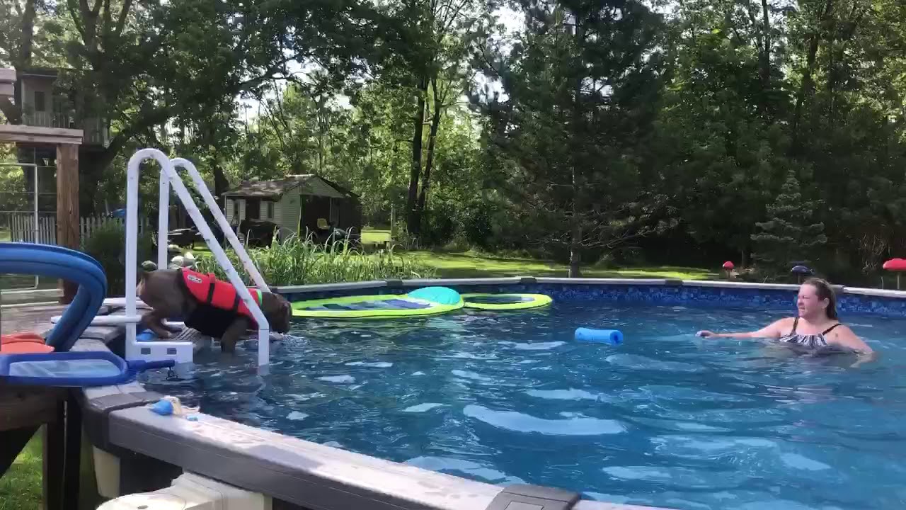 Jake Dive 2 - YouTube