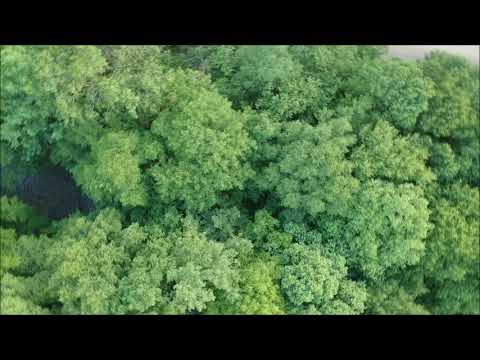 mersinde en güzel piknik alanlardan bi tanesi