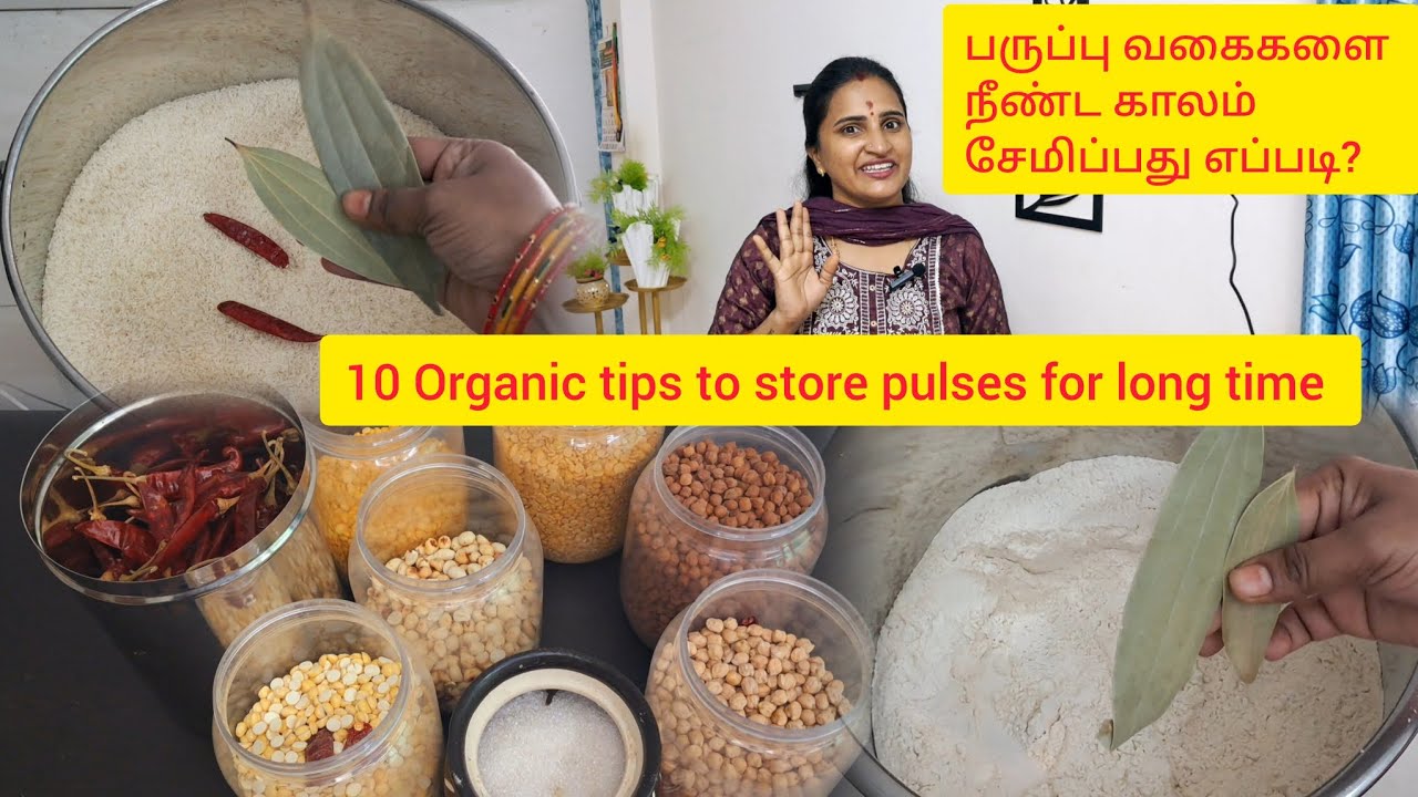 Tips for How to store Dal/pulses for bugs for long time in Tamil # ...