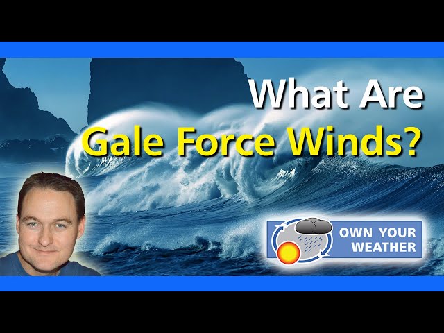 Gale Windgale Force Windwind 2 Gale Force Winds Bring Down Trees,