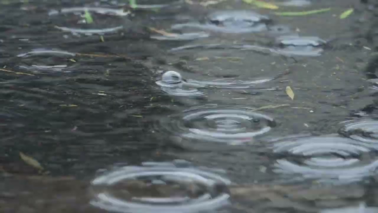 Soft Rain Sounds | Relax, Focus, Deep Sleep | 1 Hour - YouTube