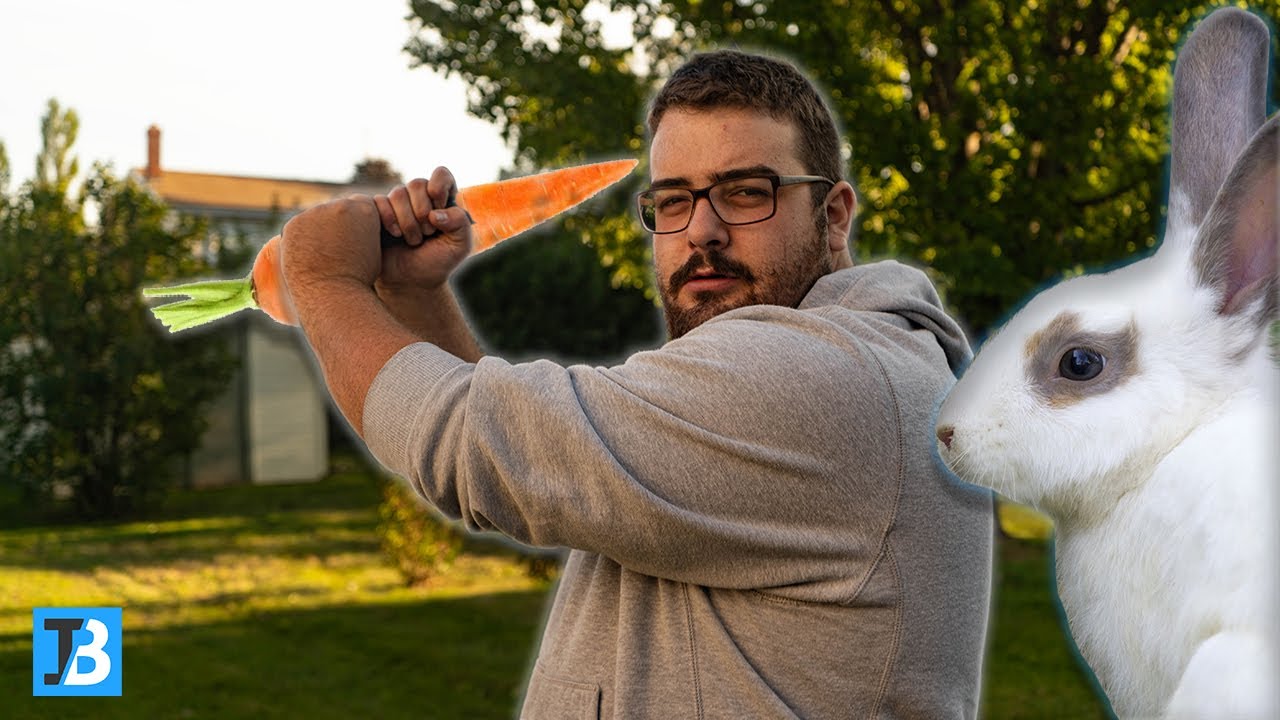 RABBIT GIVEAWAY (MUST WATCH) - YouTube