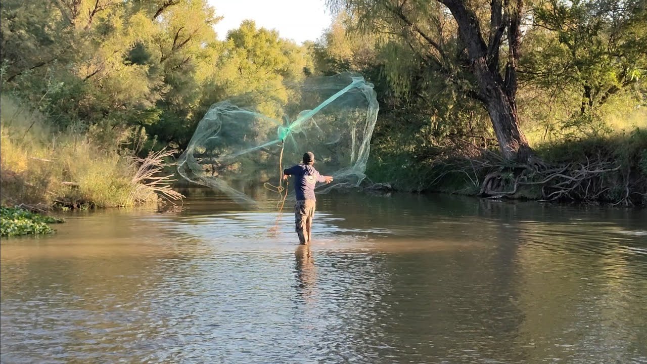 use una tarraya de bolsa muy grande en la corriente del rio con ...