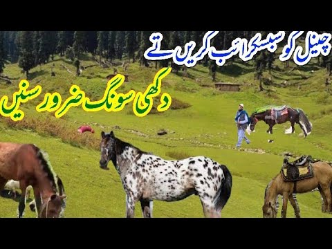 gojai song"*ajaz safe ki awaz ma gorji song - YouTube