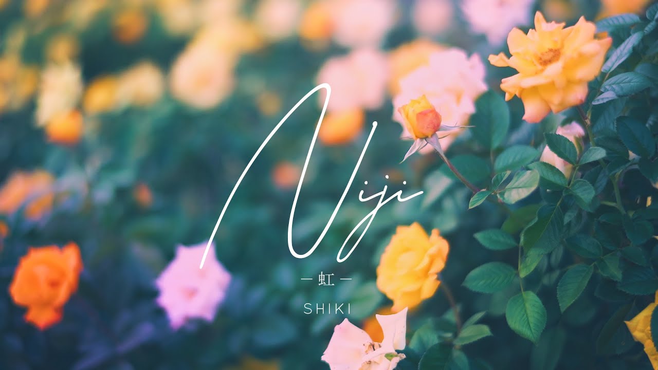 「虹」 NIJI | Beautiful Piano Music - YouTube