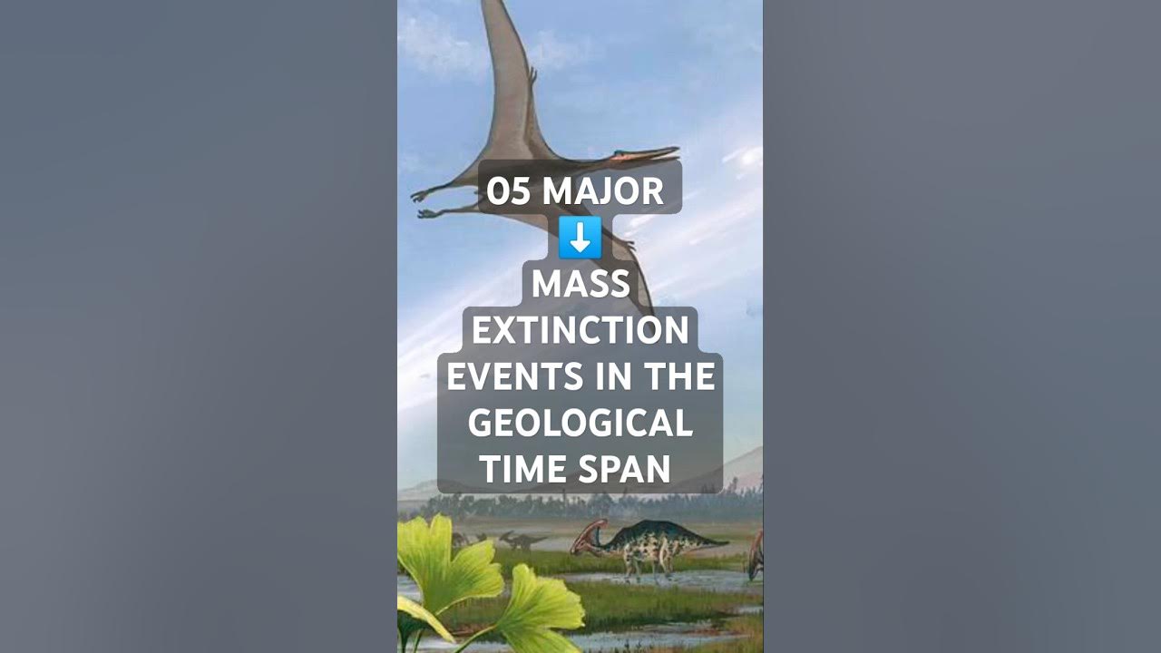 The MAJOR Mass Extinction Events in the Geological time span | SP # ...