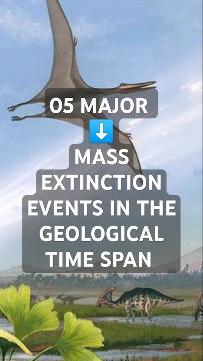 The MAJOR Mass Extinction Events in the Geological time span | SP # ...
