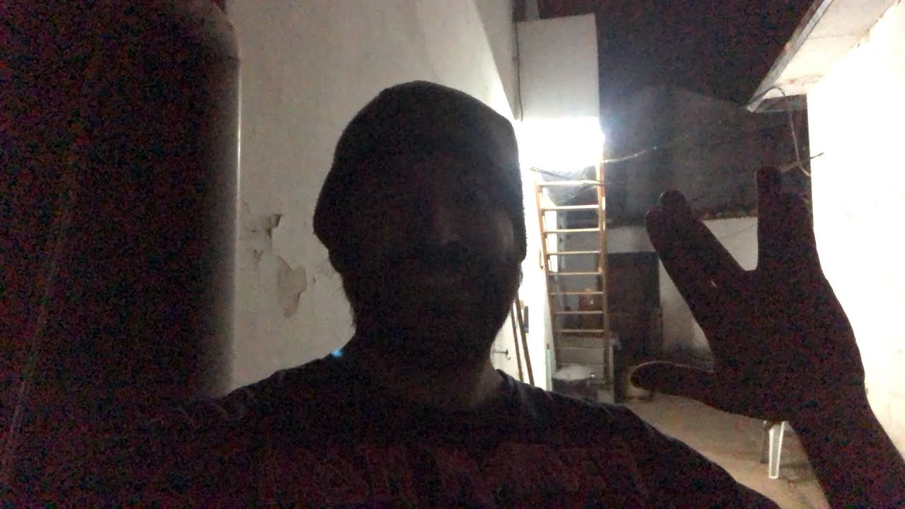 Live sobre o Forestlab - YouTube