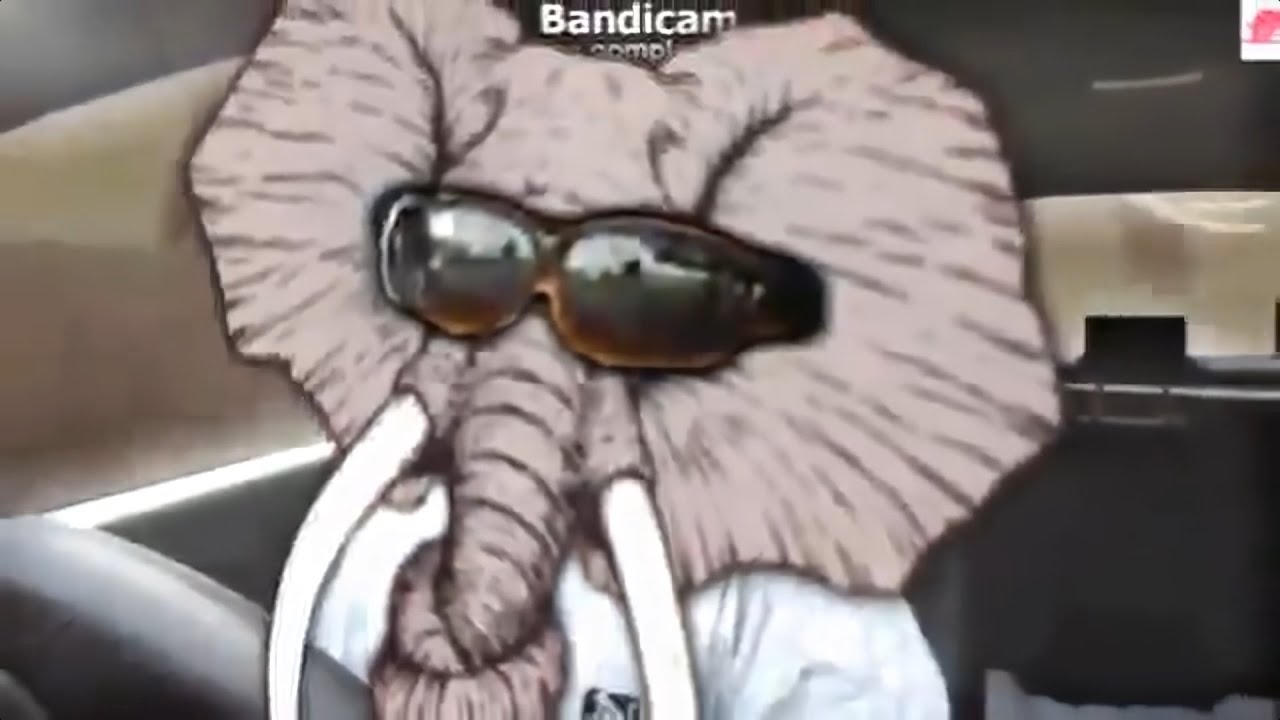 Kaizuka Erection Elephant【SUB】 - YouTube