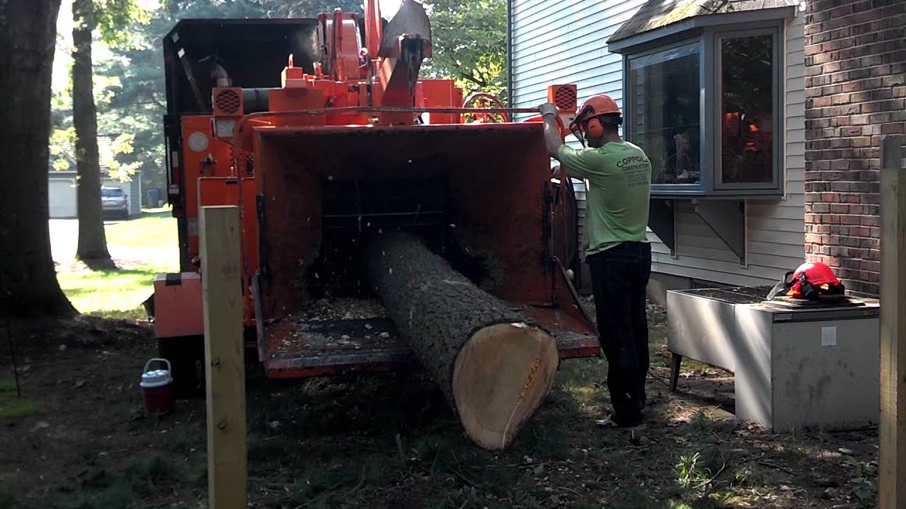 Brush bandit 1890 @ Stocker Tree Service. - YouTube