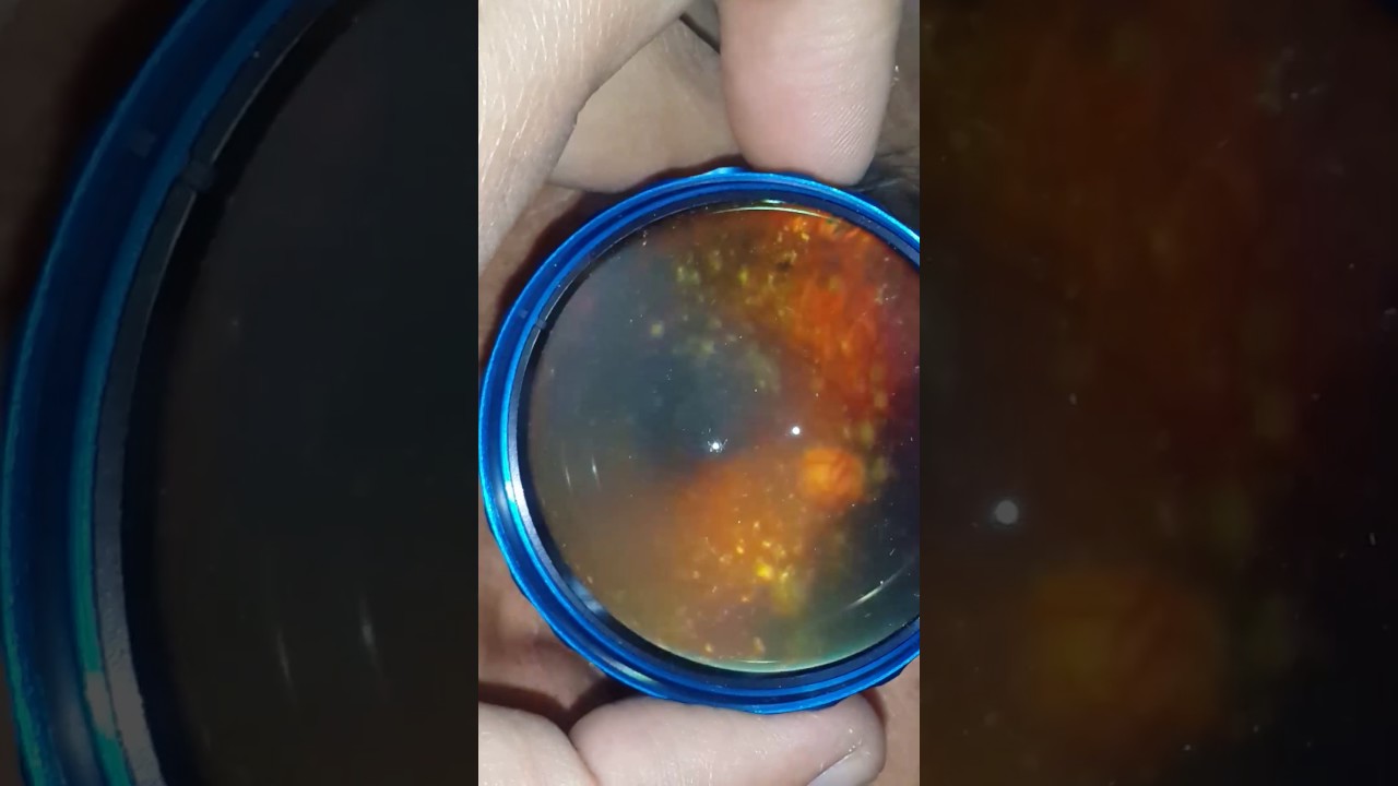 synchysis scintillans - YouTube
