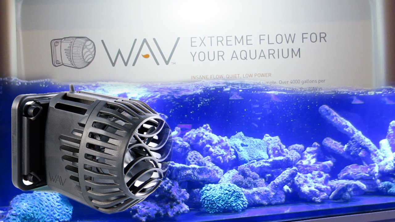 WATERFLOW in your Reef Tank with The WAV from Neptune Systems! - YouTube
