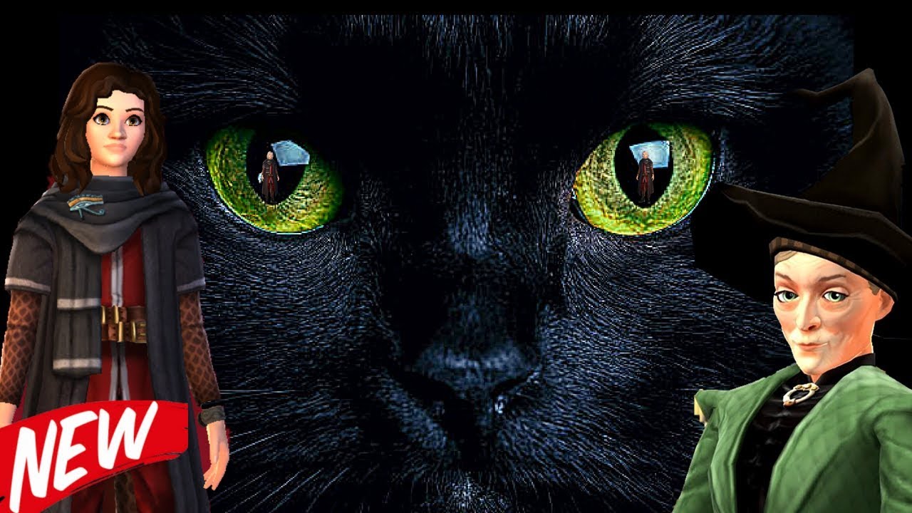 Harry Potter Hogwarts Mystery Gameplay Walkthrough Year 4 Side Quest ...