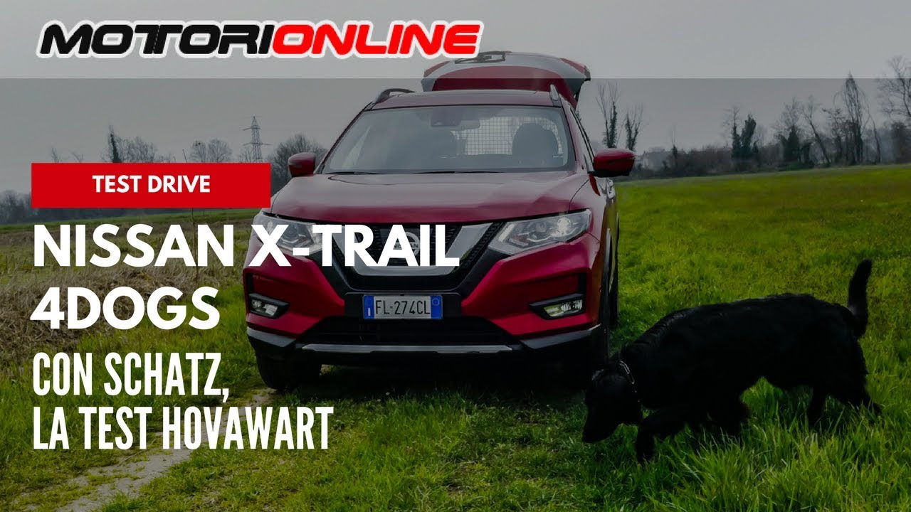 Nissan X-Trail 4Dogs, il crossover pensato per i nostri migliori amici ...