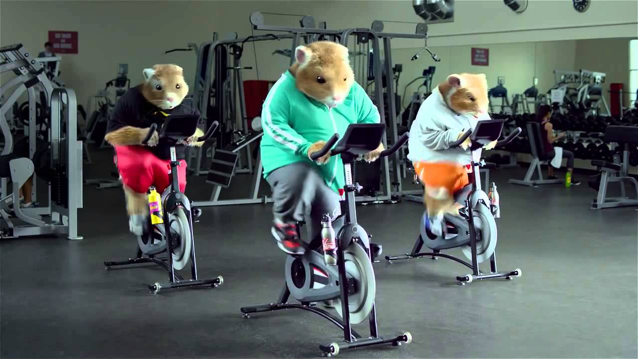 Kia Soul Hamster Commercial 2014 - YouTube