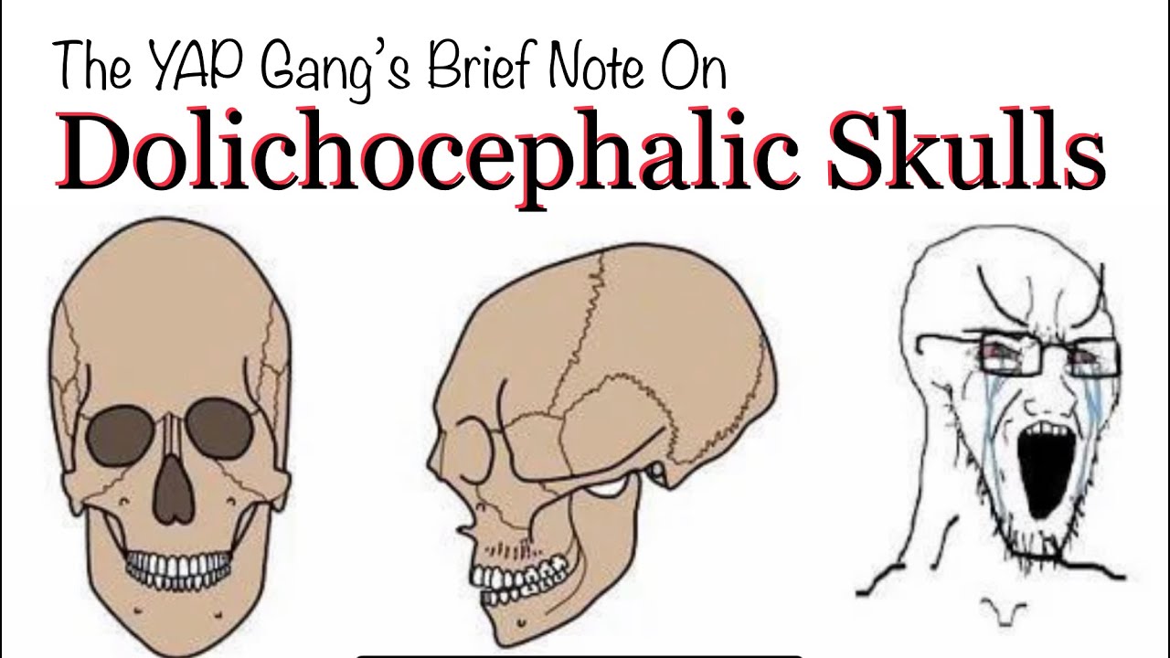 Brief Note on Dolichocephalic Skulls (by the YAP Gang) - YouTube