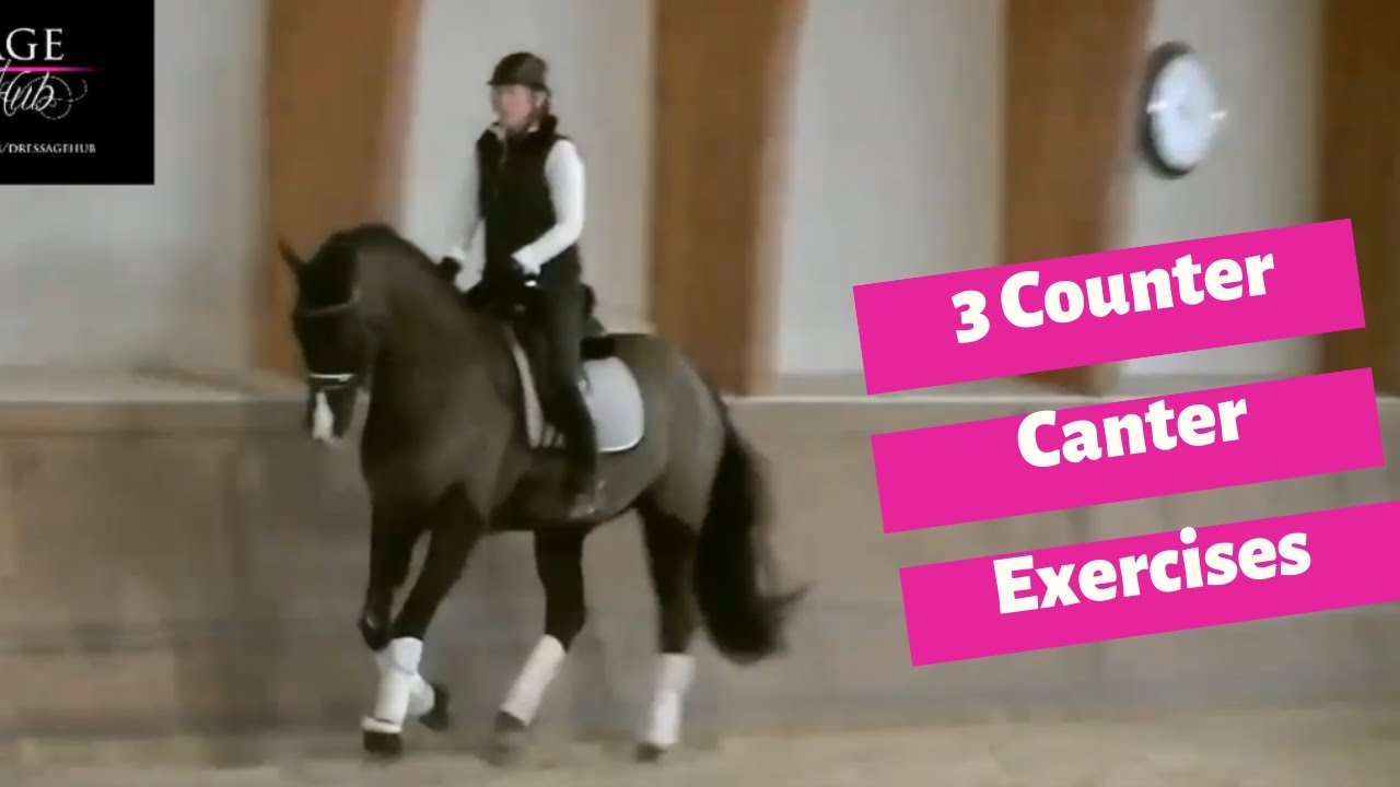 3 Exercises To Improve Your Counter Canter - YouTube