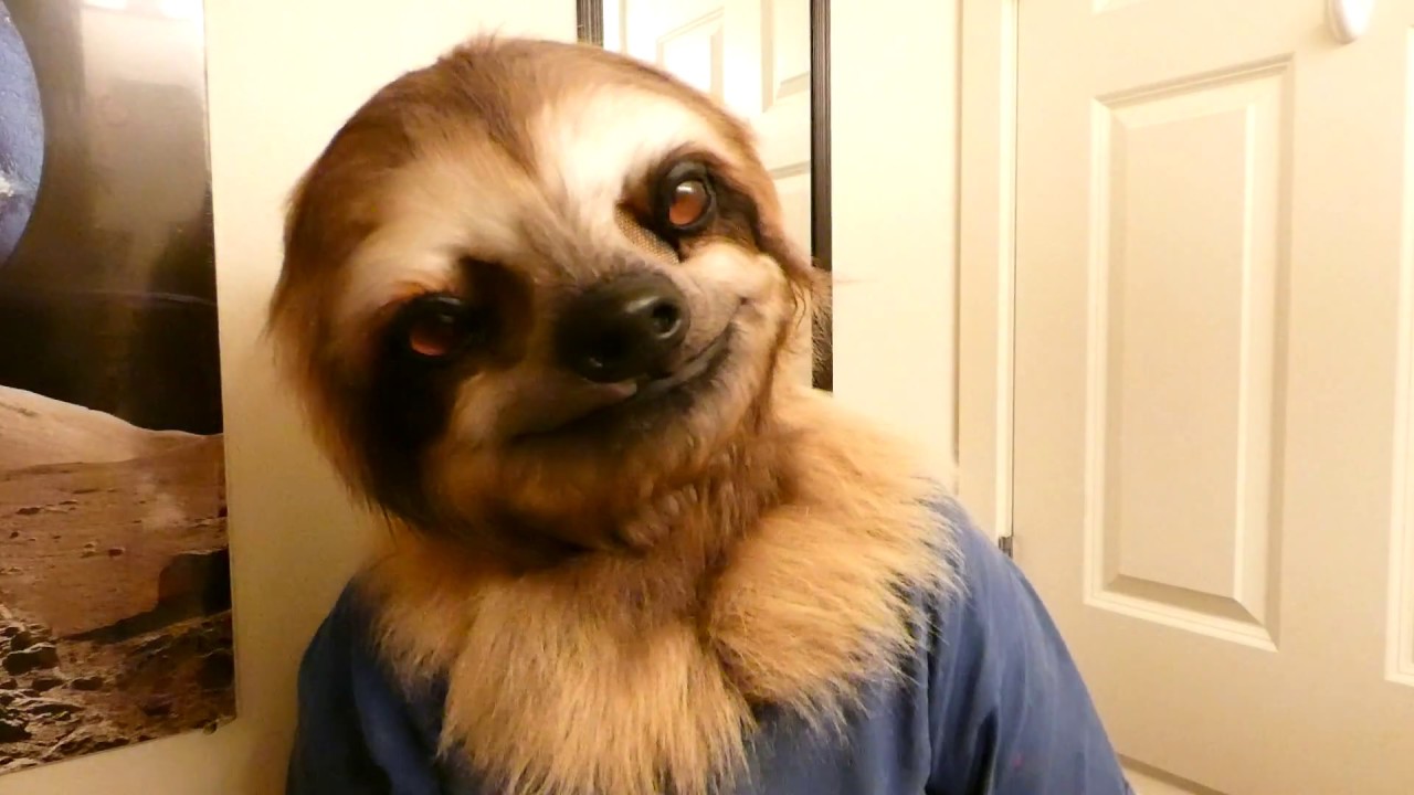 3 toed sloth mask - YouTube