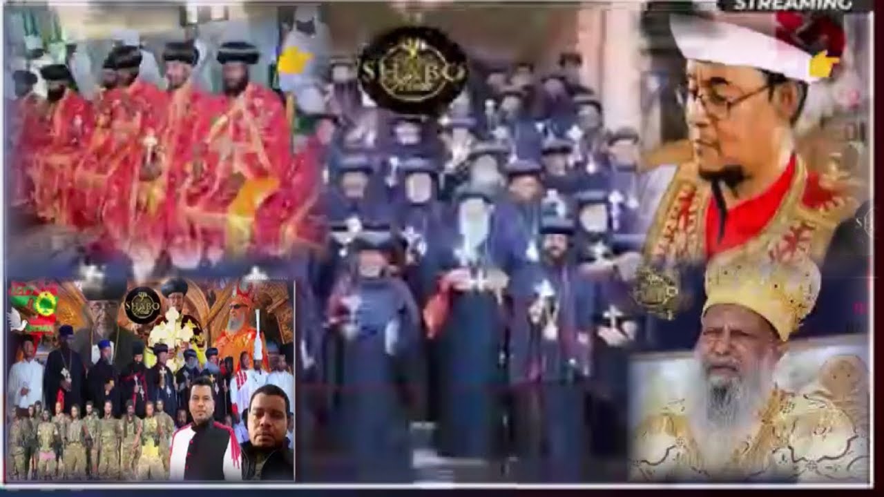 Shabbo media waa'ee sinodosi fi warana bilisuma oromo - YouTube