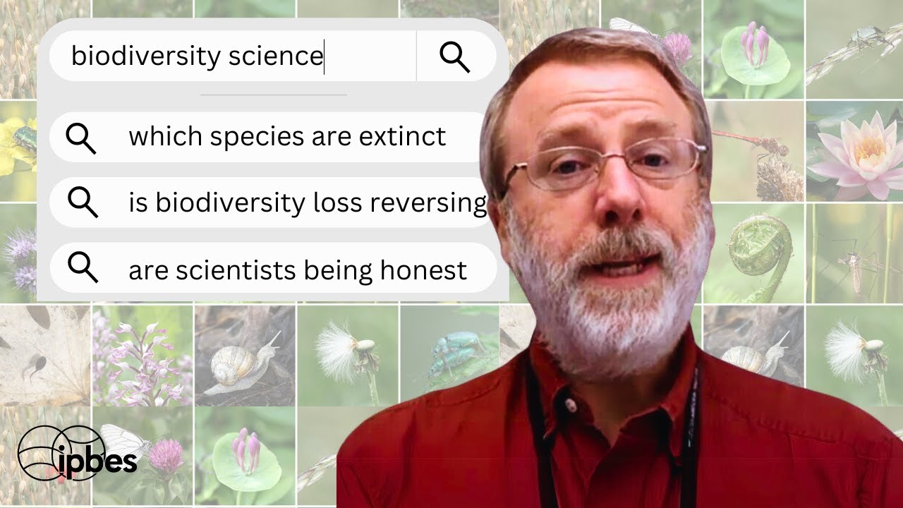 Biodiversity expert answers popular questions about biodiversity, extinction and what we can do ...