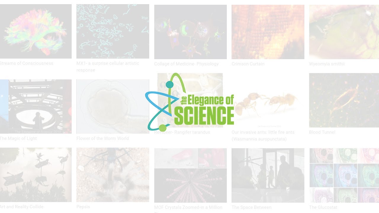 Elegance of Science Contest 2019-2020 - YouTube