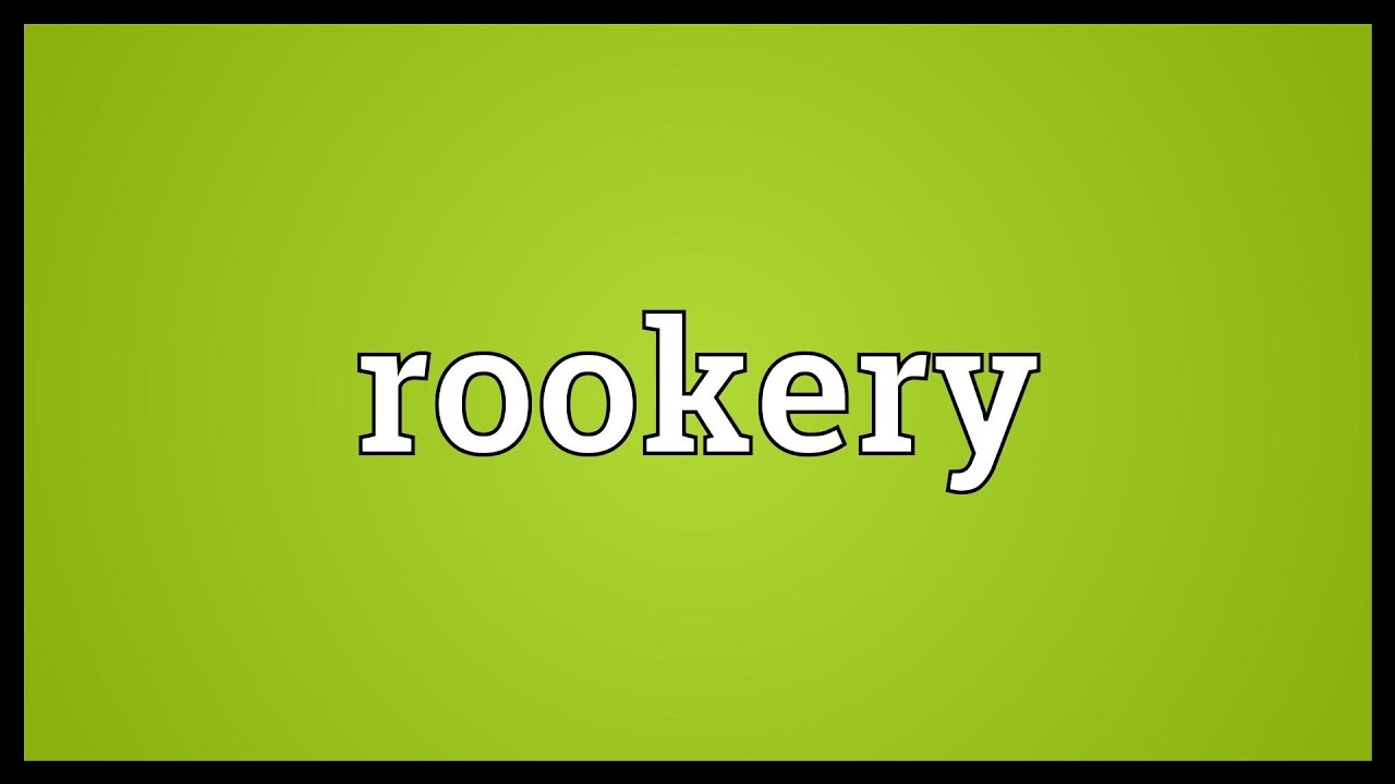 Rookery Meaning - YouTube